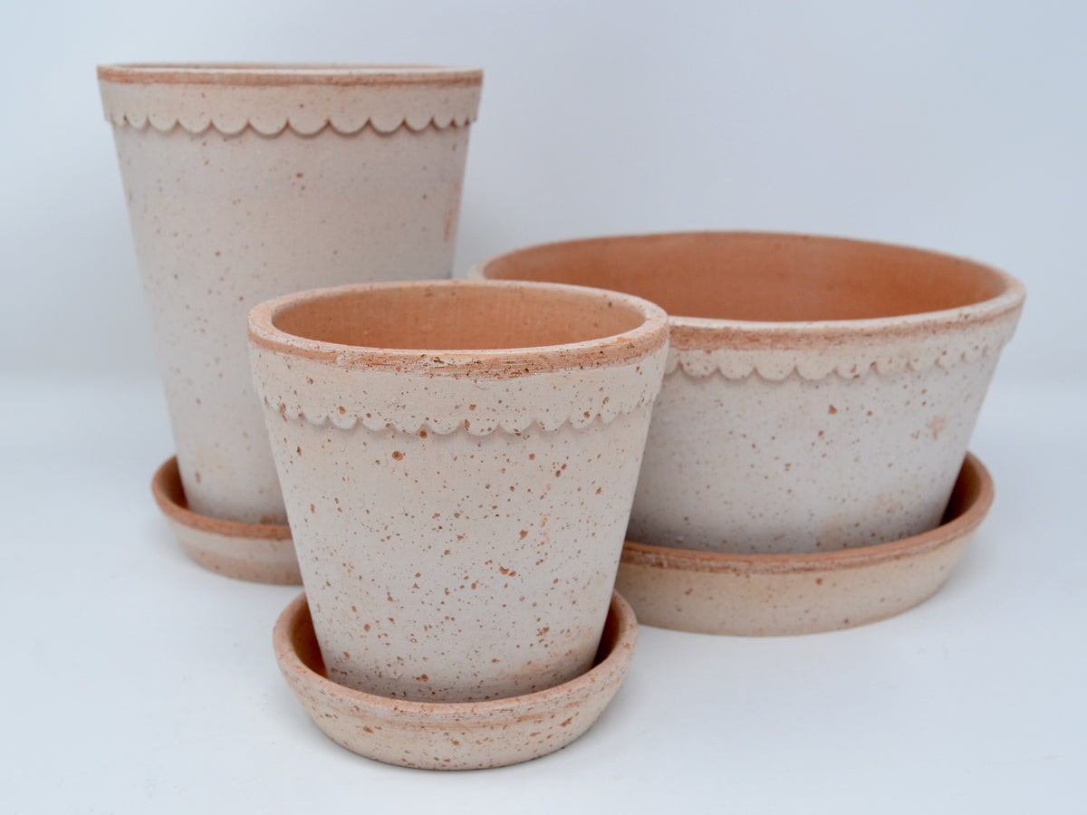 Helena Rosa Pot + Saucer – Jenkins & Co. Tulsa